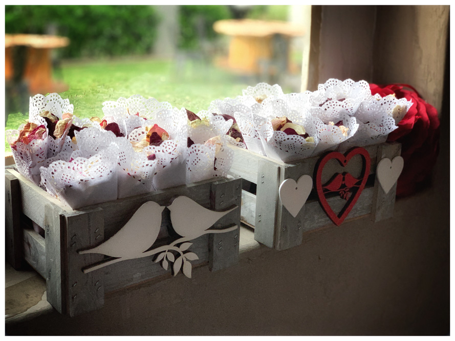 Gallery - Droom Plaas